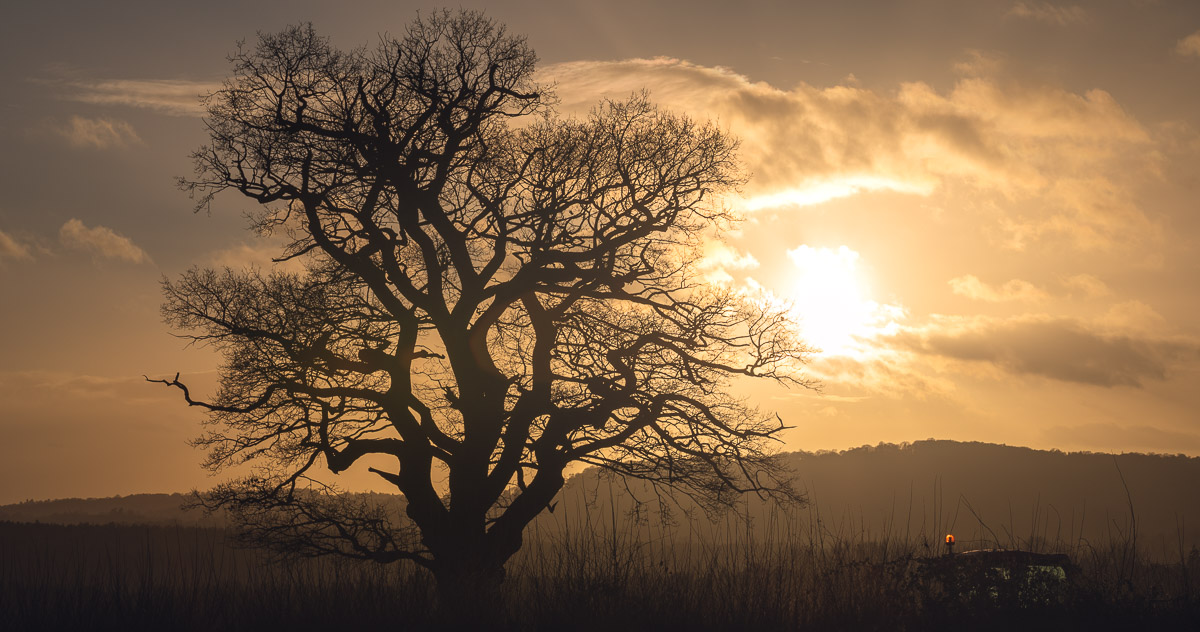 The The Final Sunset of 2022 or Was It?