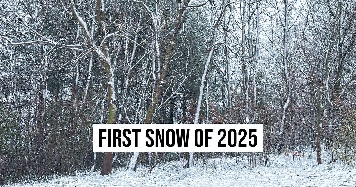 Photographing the First Snow of 2025